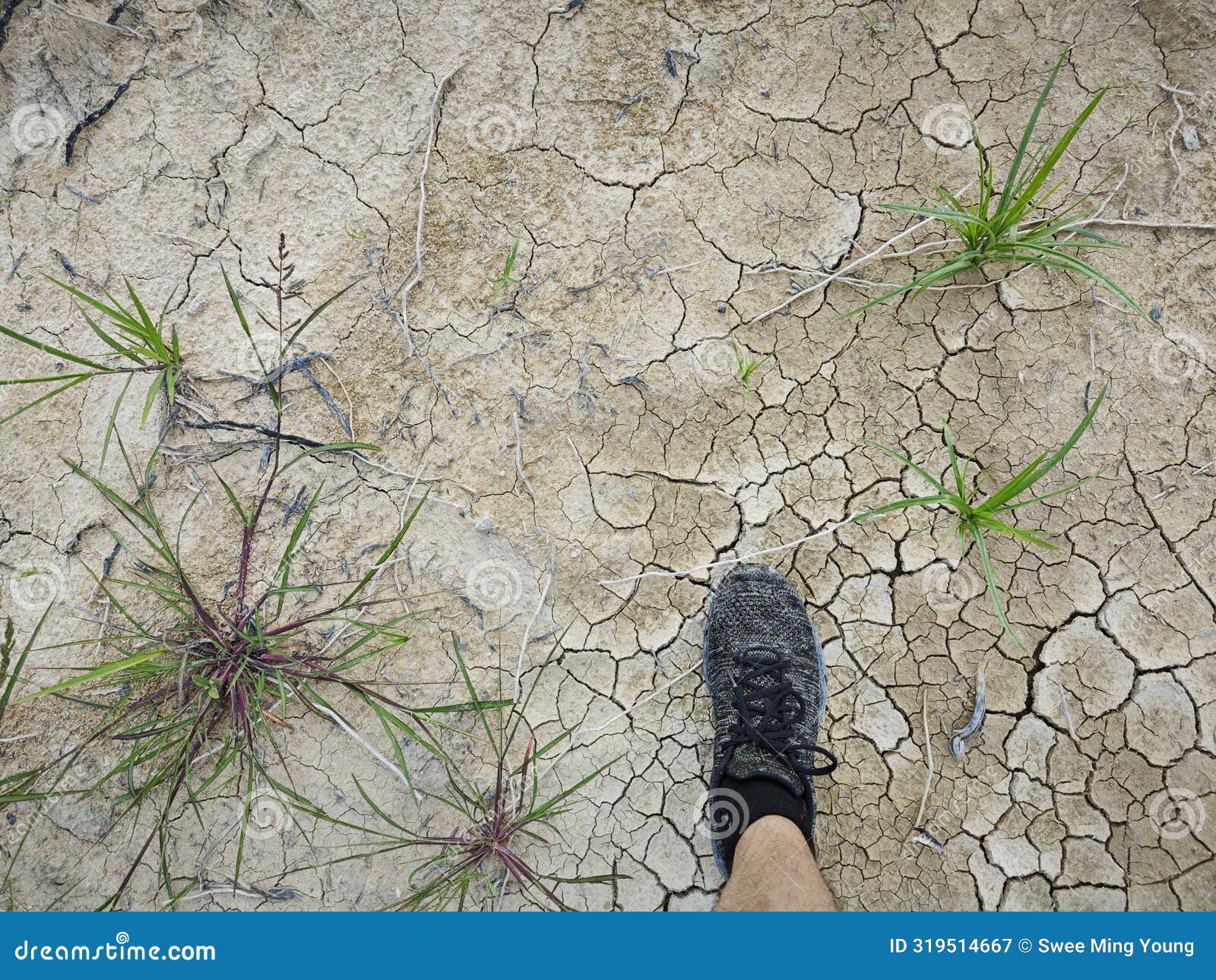 Common Natural Phenomenon on the Earth Surface Cracking. Stock Image ...