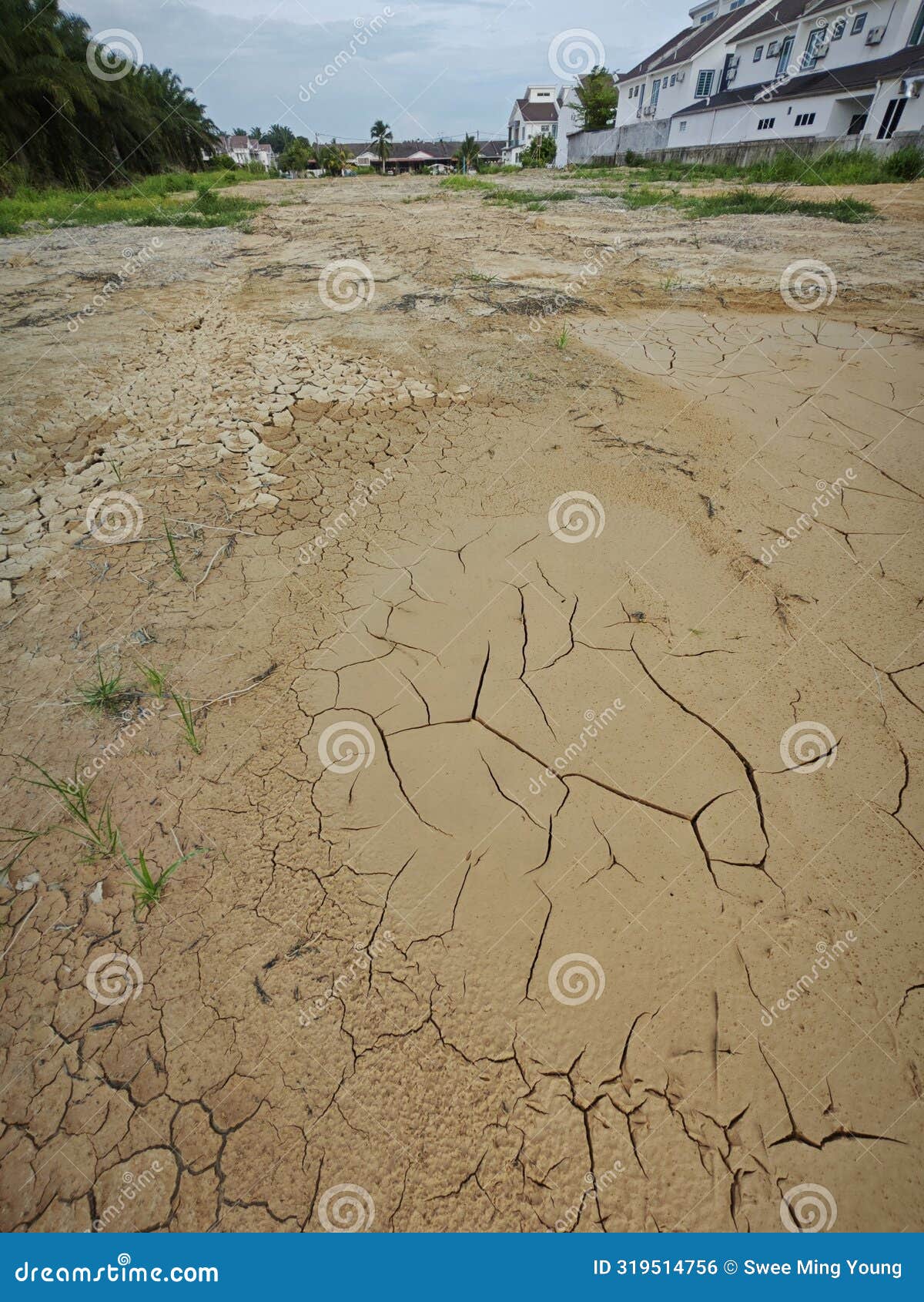 Common Natural Phenomenon on the Earth Surface Cracking. Stock Photo ...