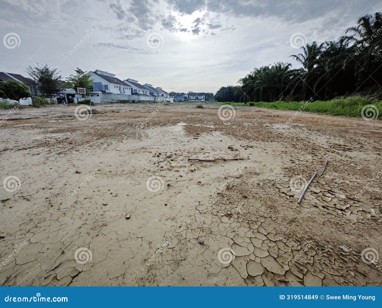 Common Natural Phenomenon on the Earth Surface Cracking. Stock Image ...
