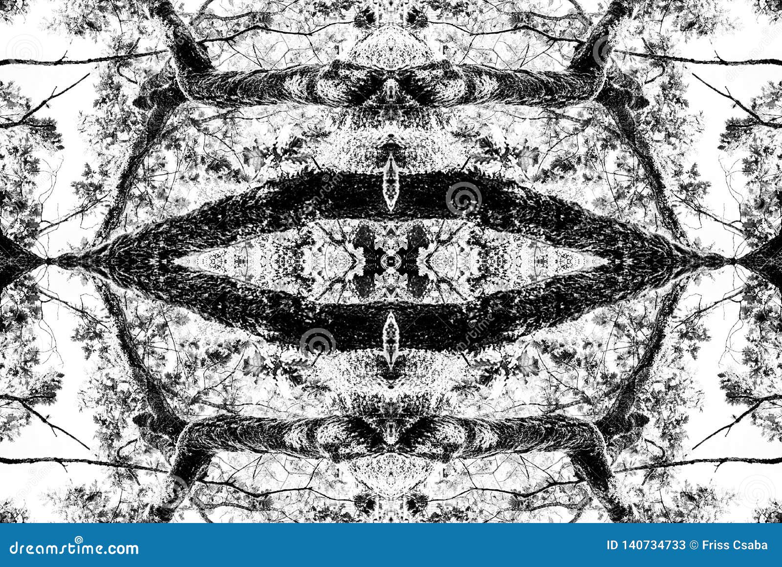 Common Oak Abstract Monochrome Stock Illustration - Illustration of ...