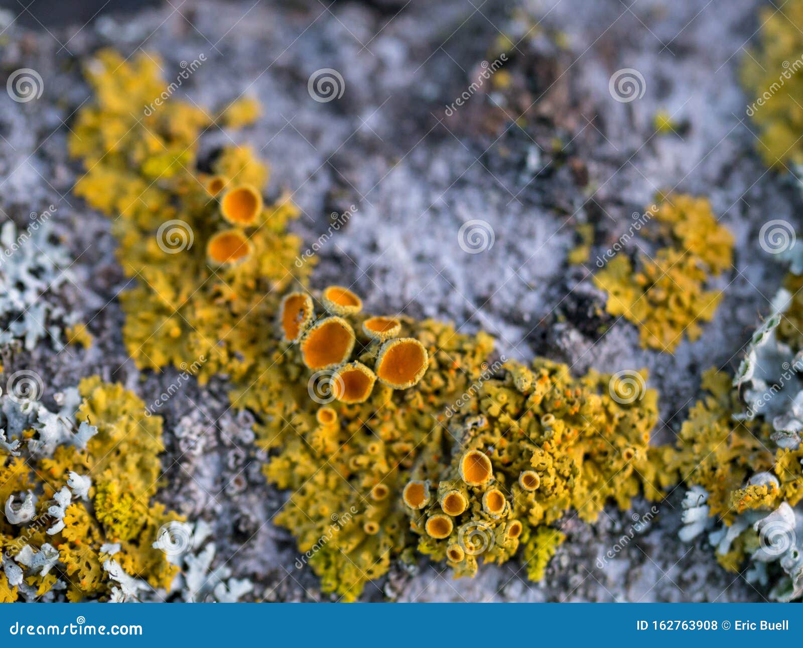 Rock Macro, Onion Skin Weathering / Weathered Stone Texture Stock ...