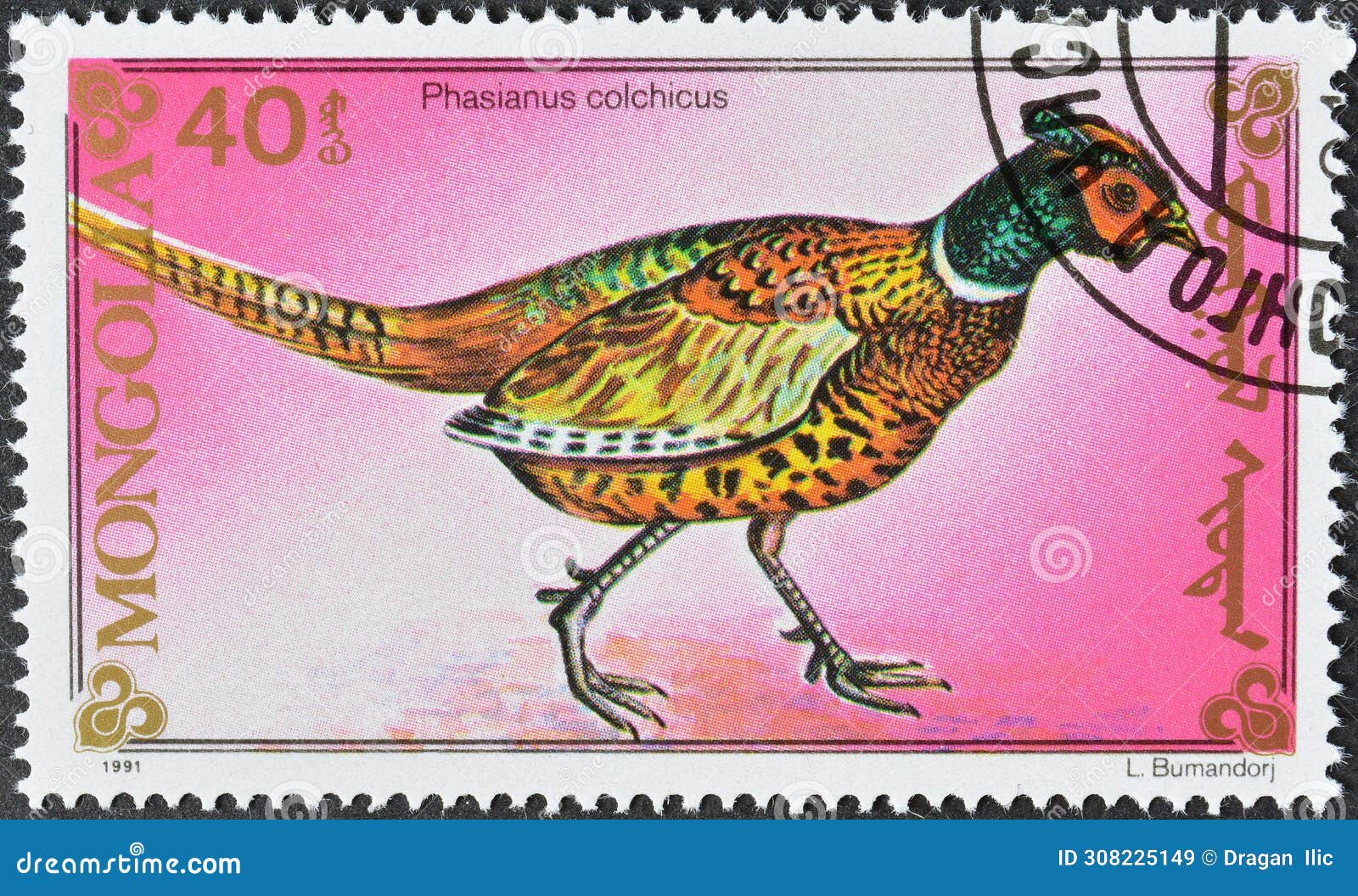 Common Pheasant Phasianus Colchicus In Usa Stamp Editorial Image ...