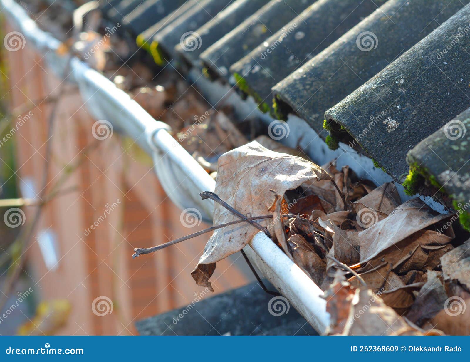 Common Problem Caused by Clogged Gutters with Autumn Leaves. Unclog ...
