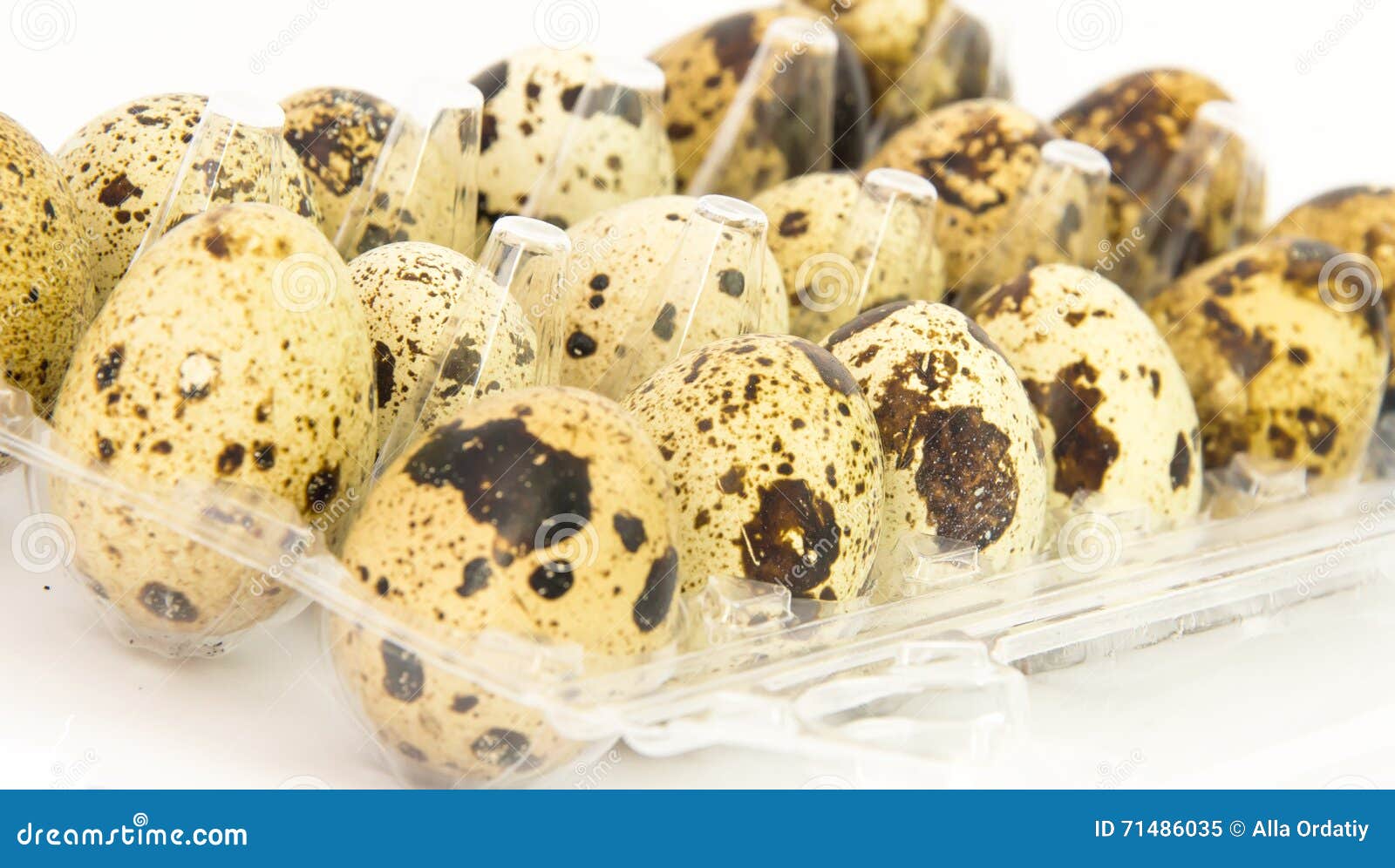 Common Quail eggs stock image. Image of small, background - 71486035
