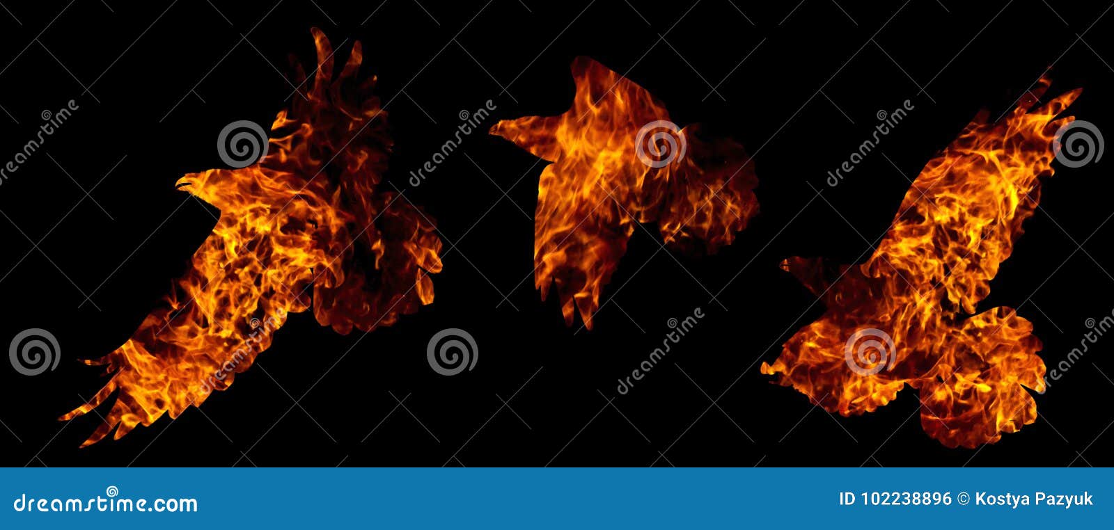 Common Raven are Fire Isolated on Black Stock Photo - Image of gothic ...