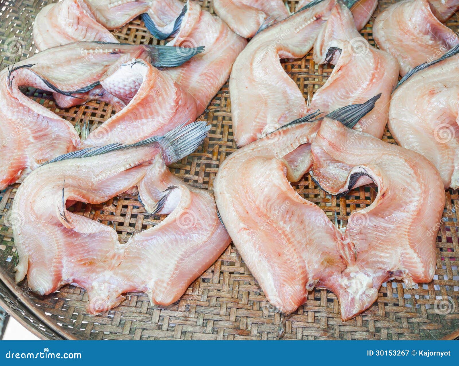 Common Snakehead fish stock image. Image of aquatic, food - 30153267