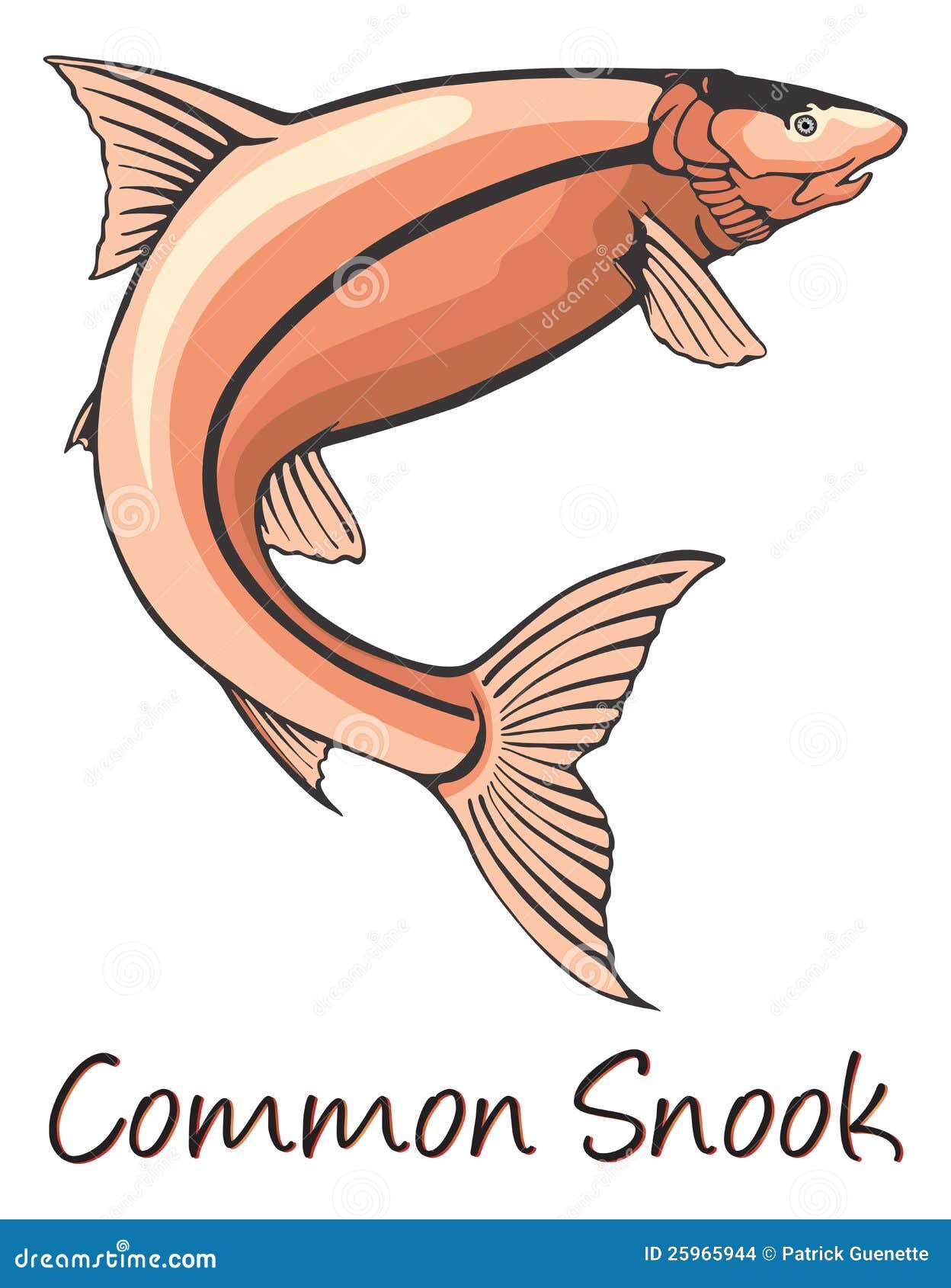 Snook Cartoons, Illustrations & Vector Stock Images - 161 Pictures to ...