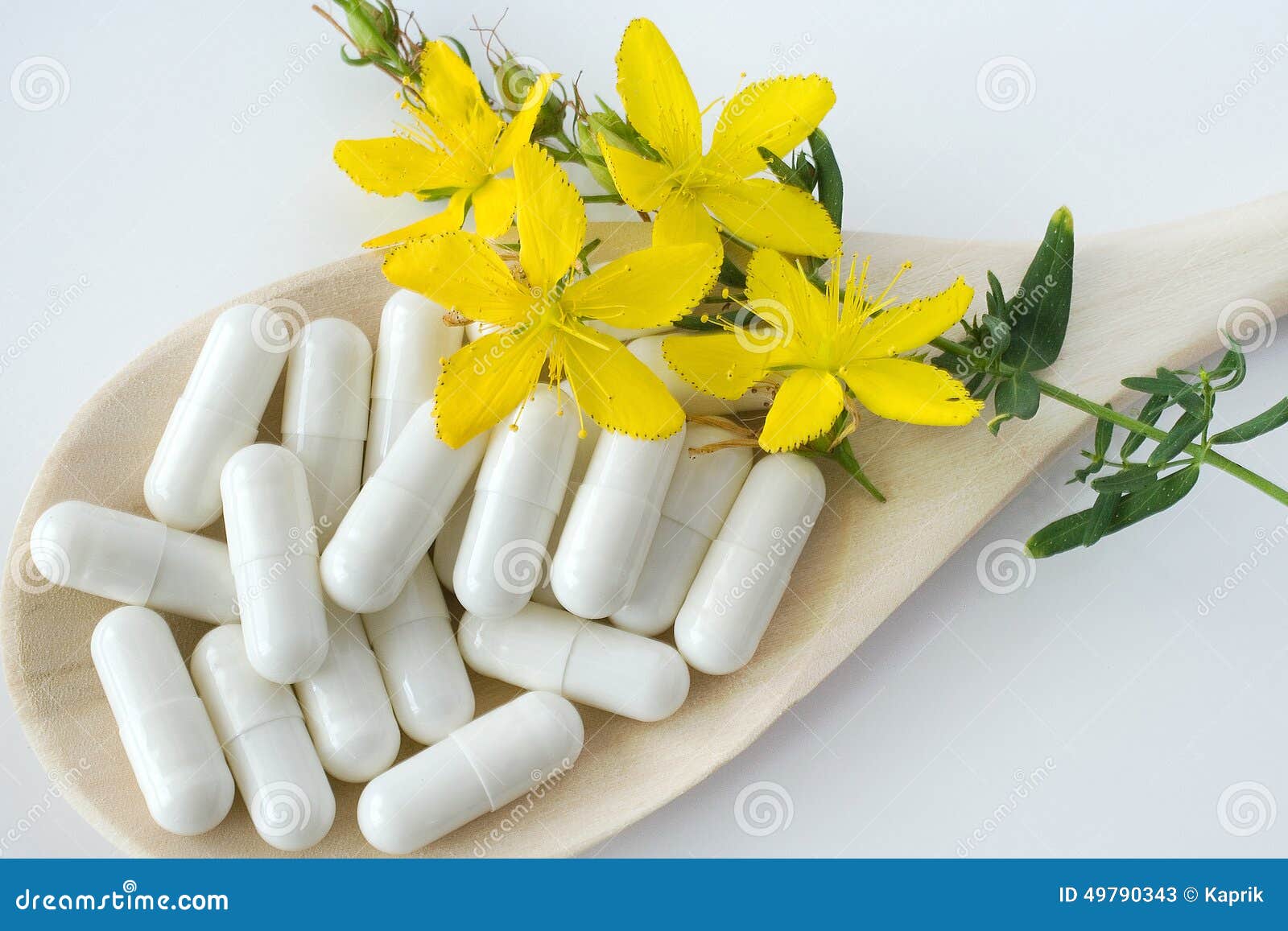 Common St. John S Wort - Hypericum Perforatum - Antidepressant Stock ...
