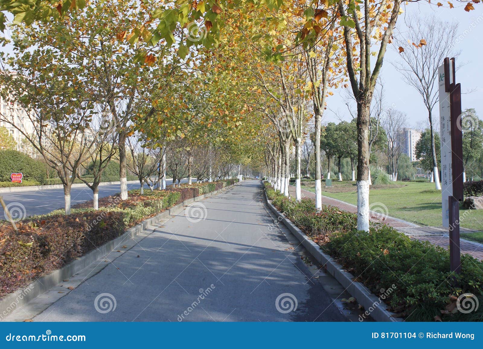 A Common Sunny Day after Rain and Walking Along the Road with Special ...