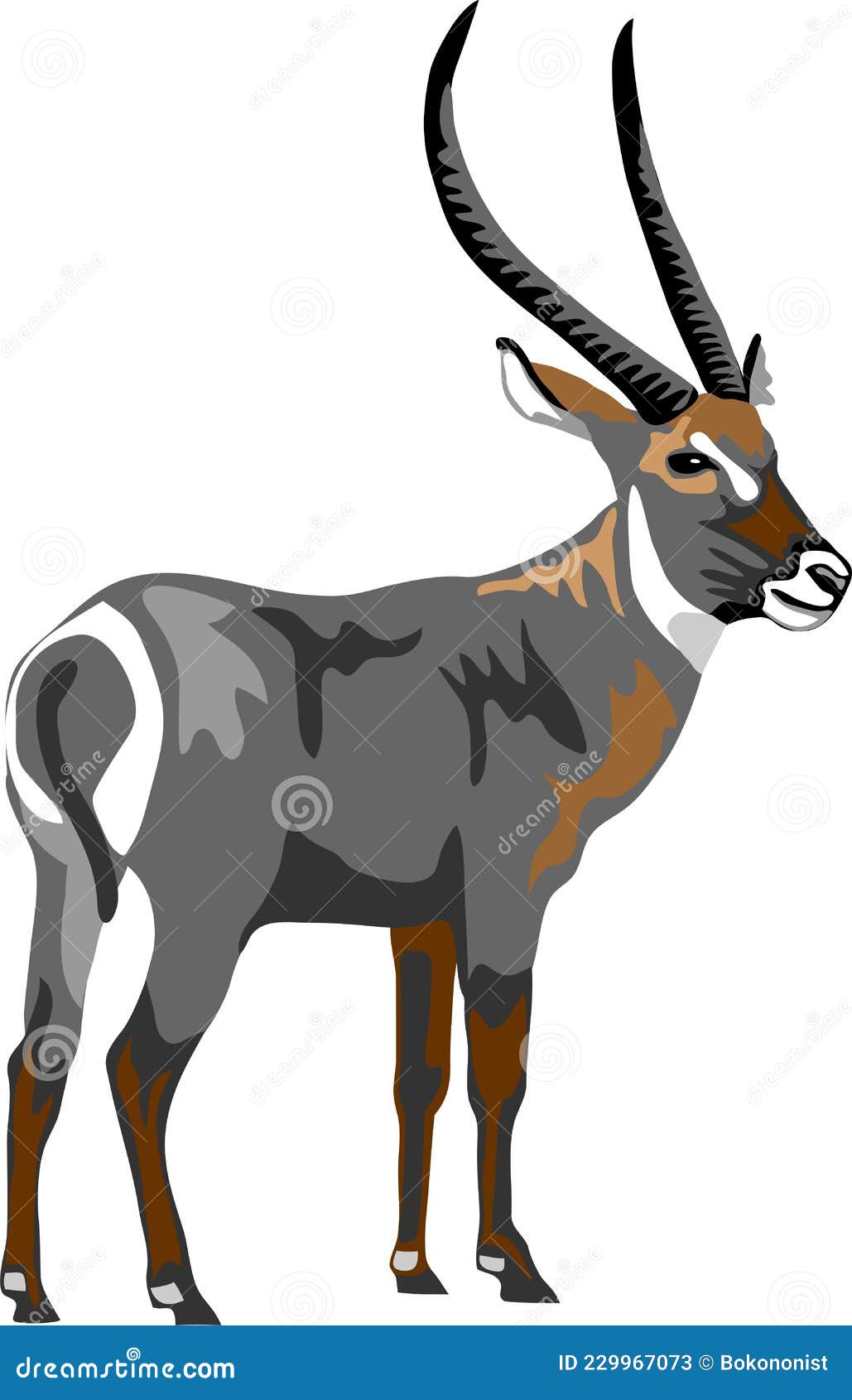 Common Waterbuck vector stock vector. Illustration of antelope - 229967073