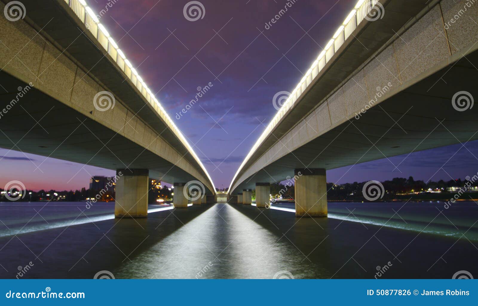 Commonwealth Avenue stock photo. Image of griffin, night - 50877826