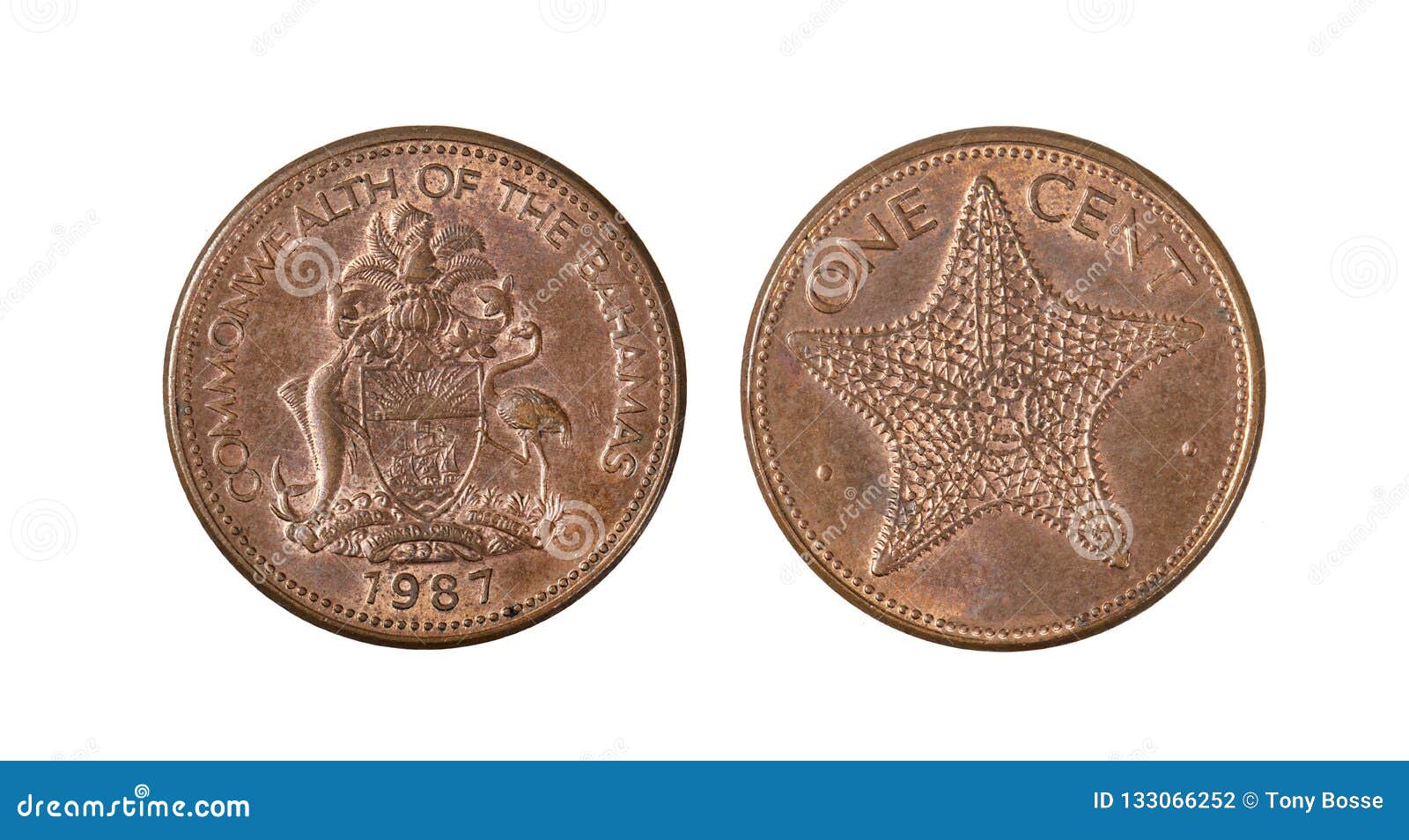 Commonwealth of the Bahamas One Cent Coin Stock Photo - Image of travel ...
