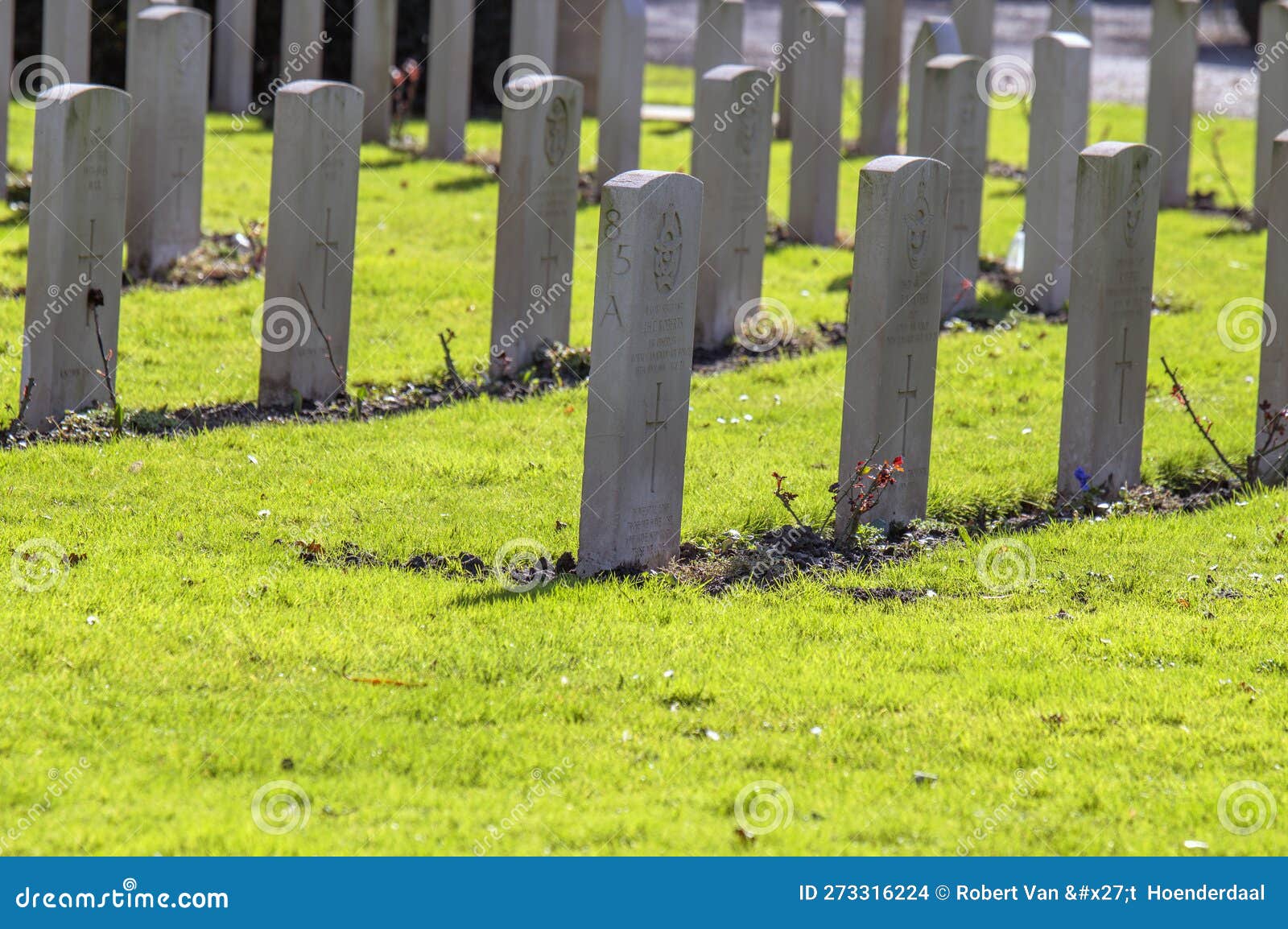 Commonwealth War Graves at the Nieuwe Ooster Graveyard at Amsterdam the ...