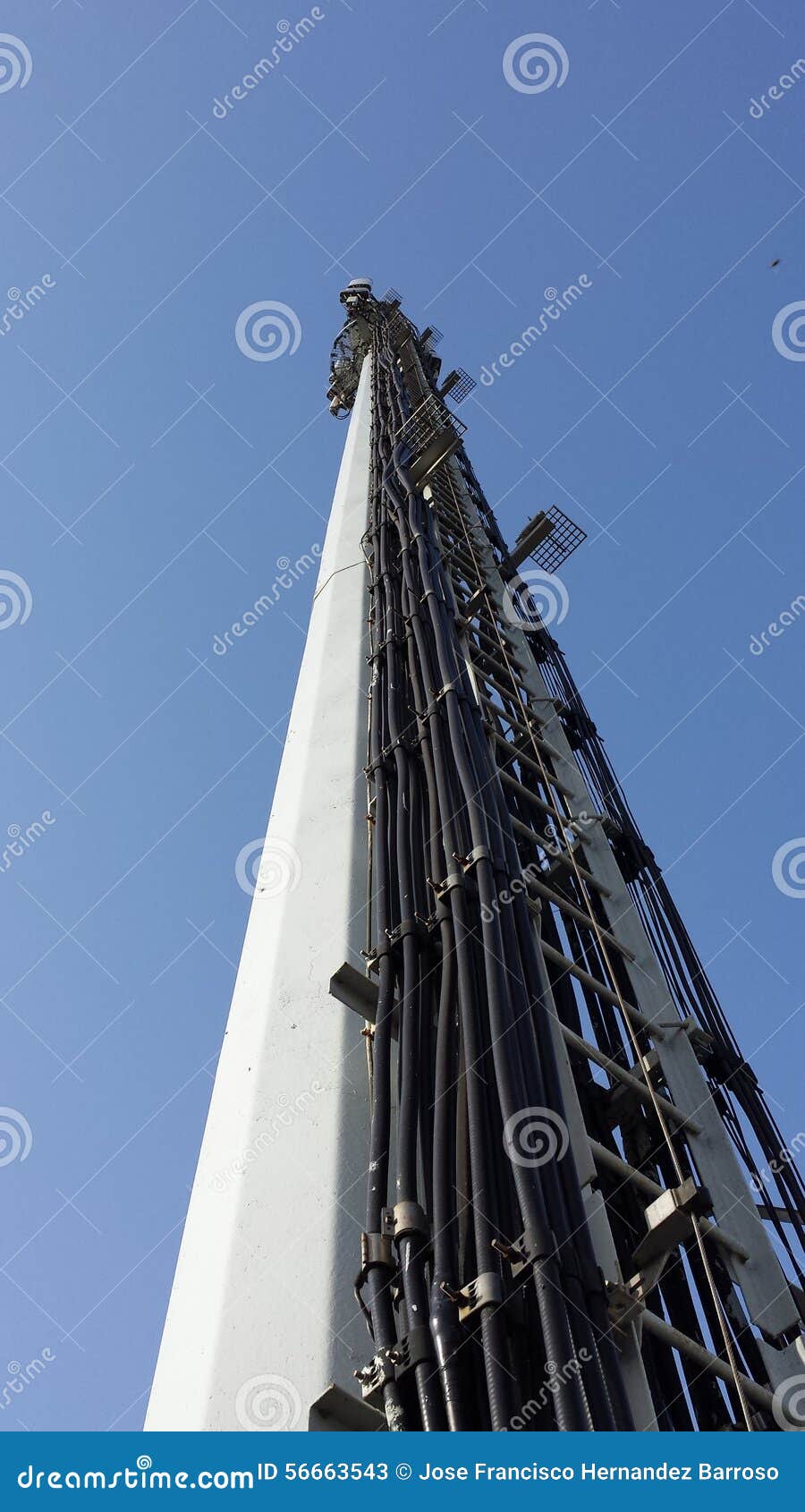 IP Telephony System, Telephone Cabling Patch Panel With Twisted Pairs ...