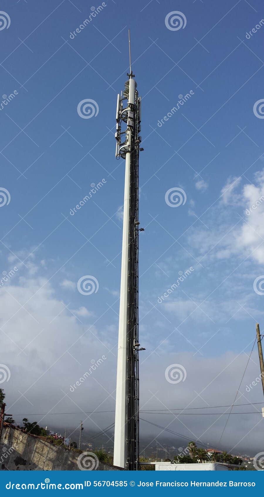 IP Telephony System, Telephone Cabling Patch Panel With Twisted Pairs ...