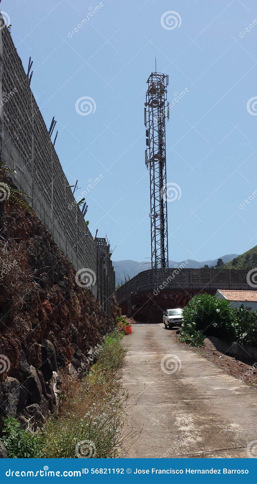 IP Telephony System, Telephone Cabling Patch Panel With Twisted Pairs ...