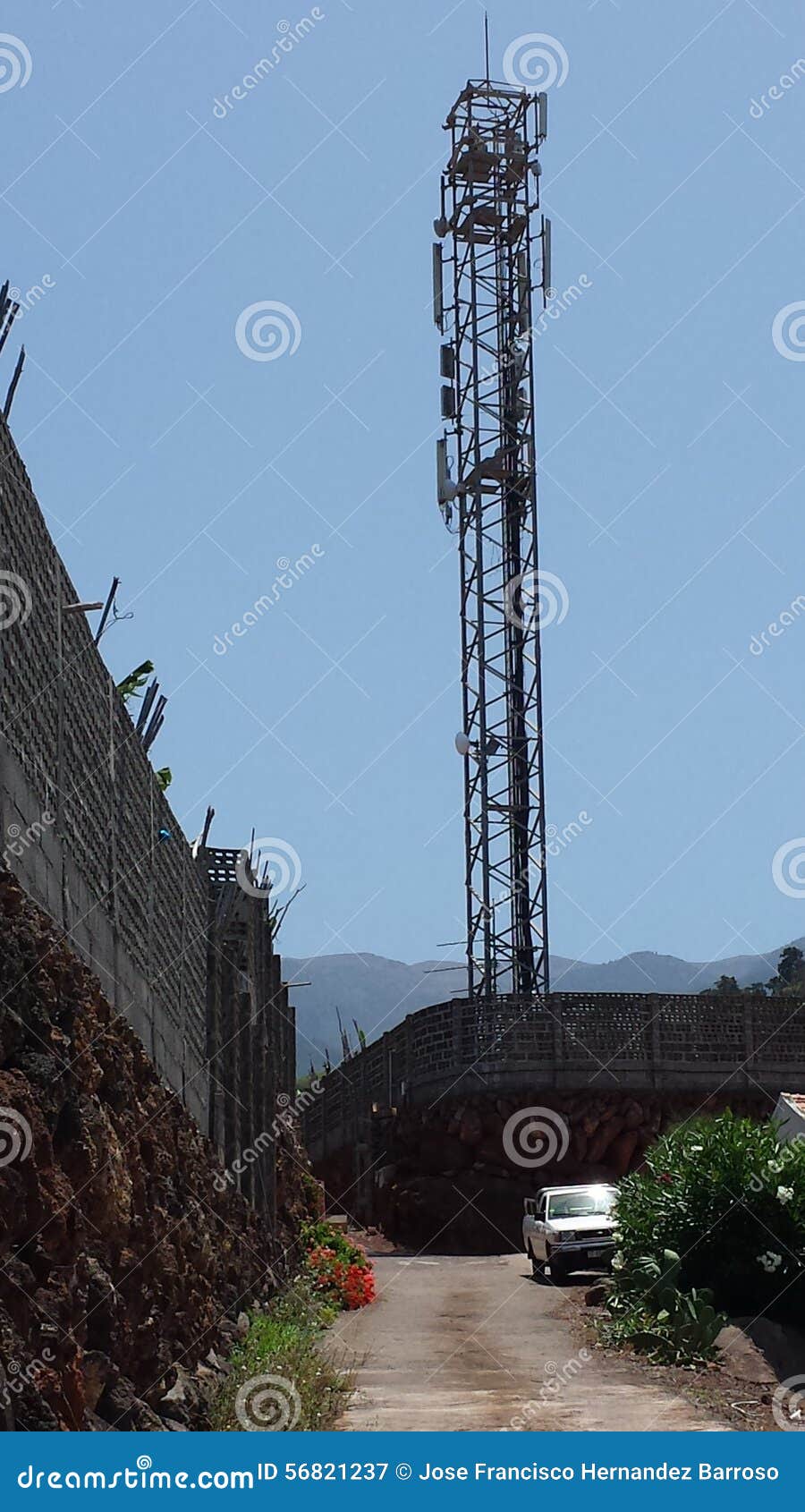 IP Telephony System, Telephone Cabling Patch Panel With Twisted Pairs ...