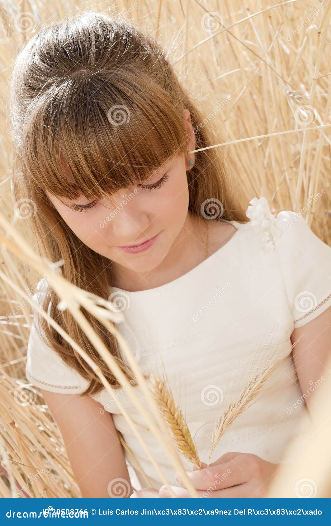 Communion girl stock photo. Image of beautiful, beauty - 20508766