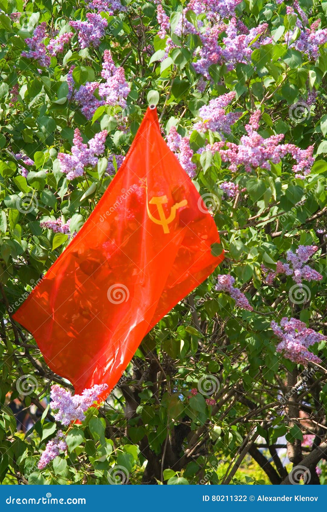 Communist Flag, Uncle Sam, Background, Politics Stock Photo ...