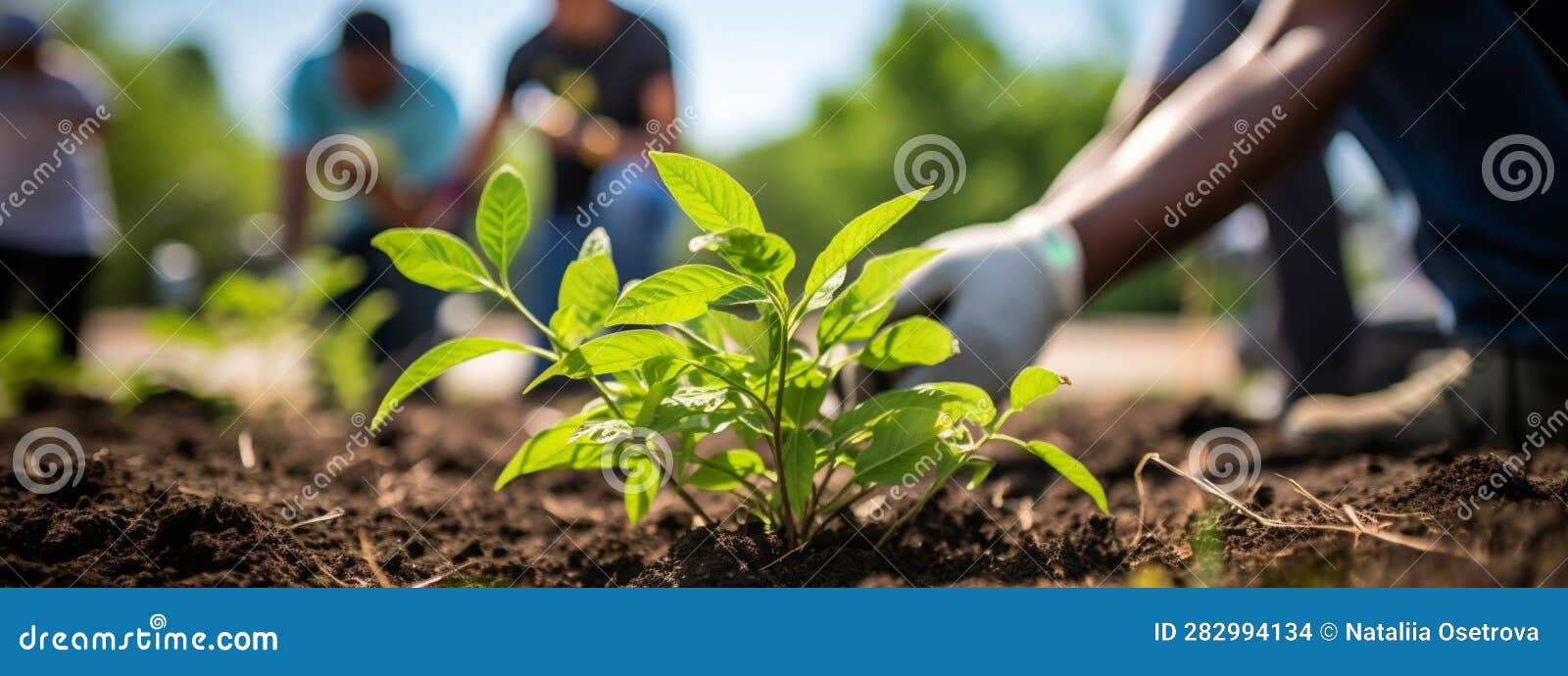 Communities Working Together Creating Green Spaces, Urban Gardens ...