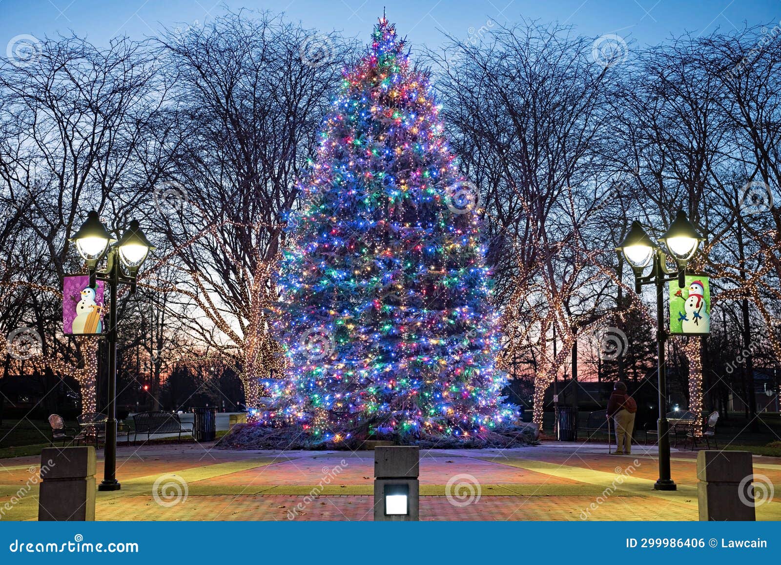Community Christmas Tree Lighting Display Stock Photo - Image of mini ...