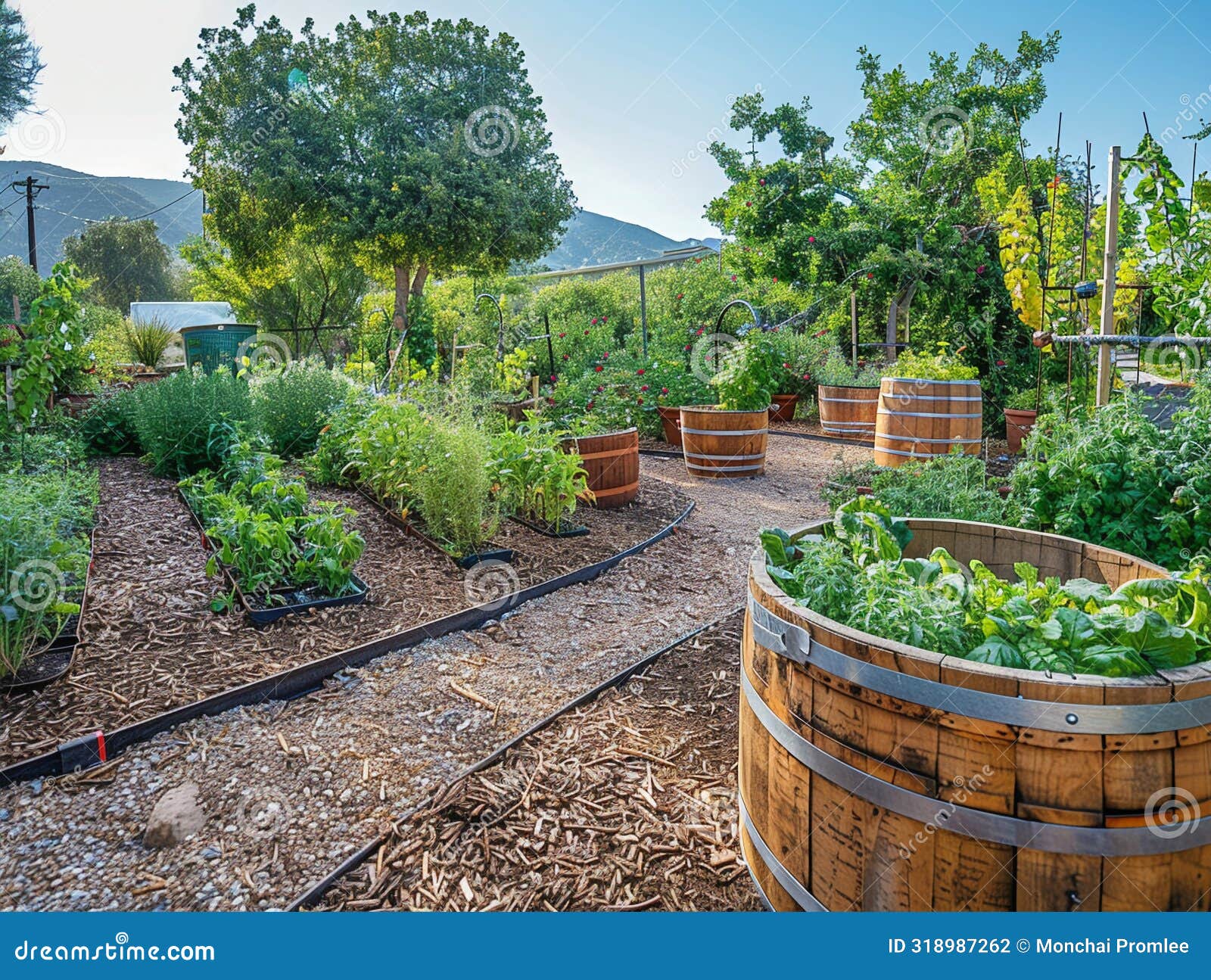 Community Garden Utilizing Circular Zero Waste Practices, with Compost ...