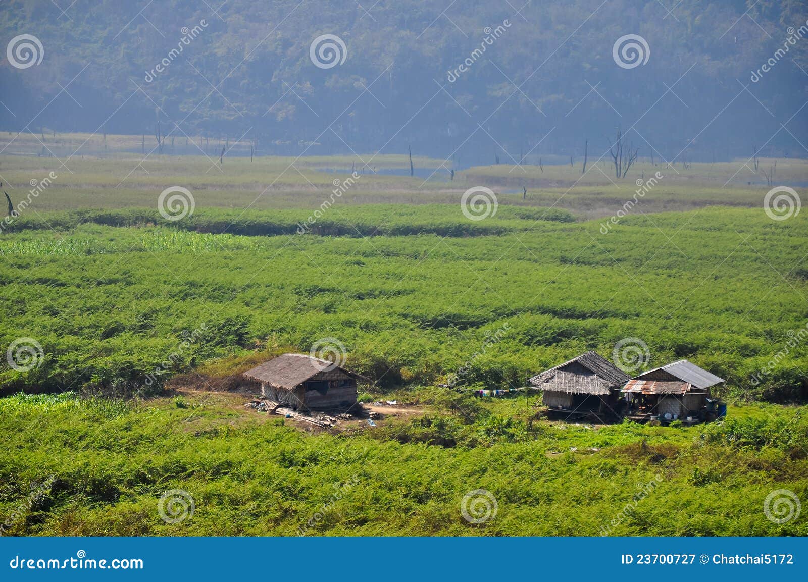 Community of Mon people stock image. Image of forest - 23700727