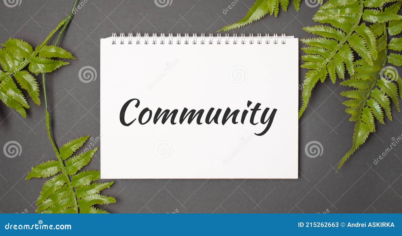 COMMUNITY Text with Real Leaves Tropical Jungle Background.flat Lay ...