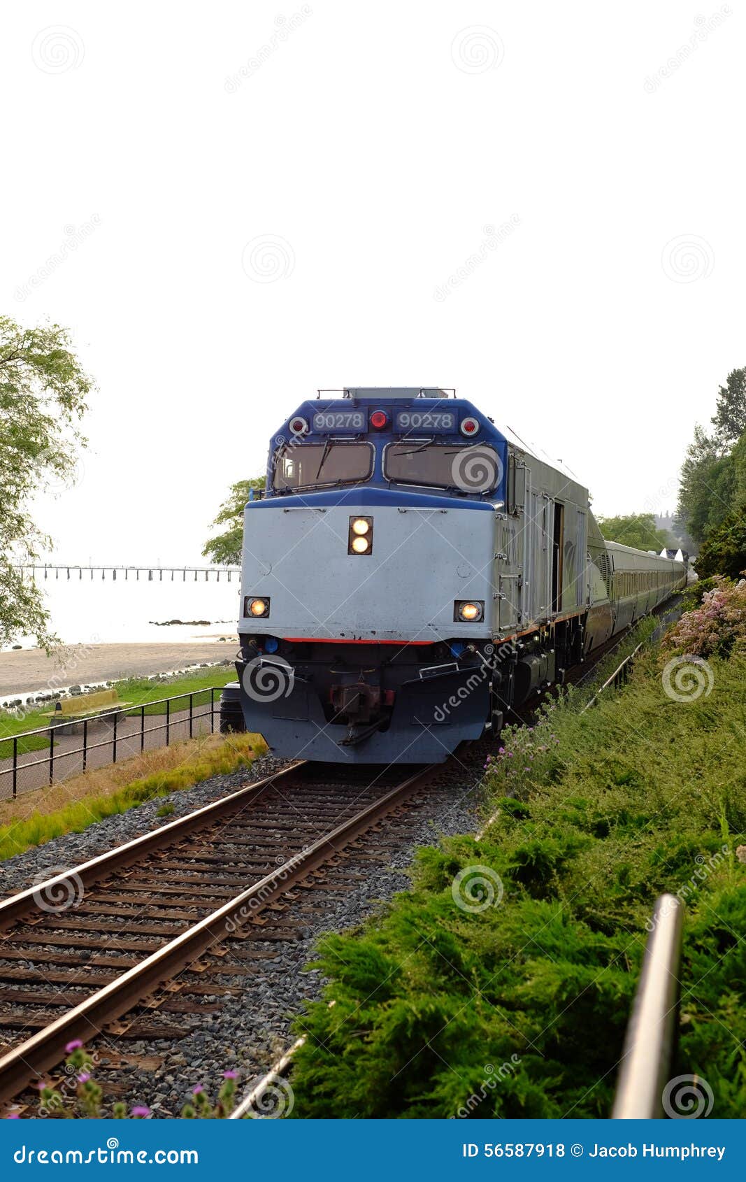 Commuter train stock photo. Image of passing, commuter - 56587918