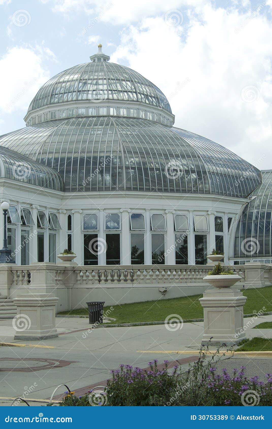 Como Park Conservatory stock image. Image of plants, flower - 30753389