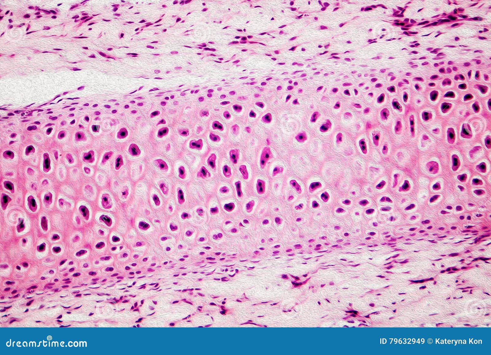 Compact Bone Texture, Painting Stylization Stock Image - Image of bone ...