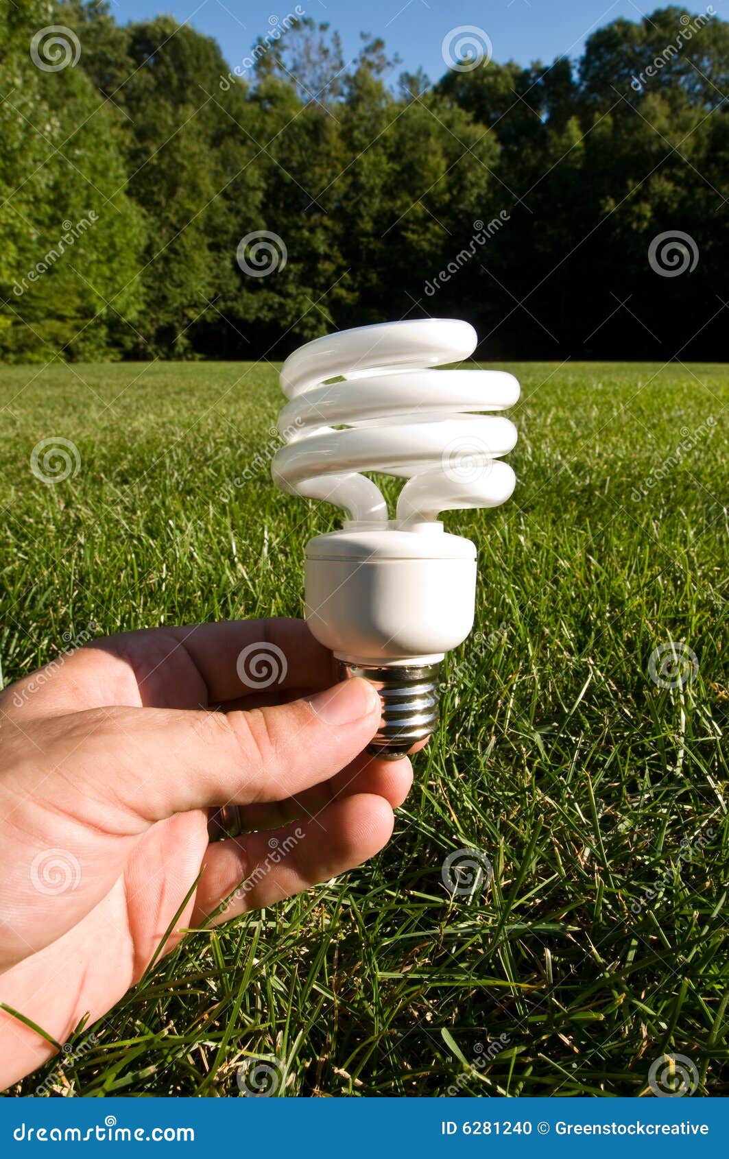 Compact Fluorescent Light Bulb Stock Photo - Image of fluorescent ...