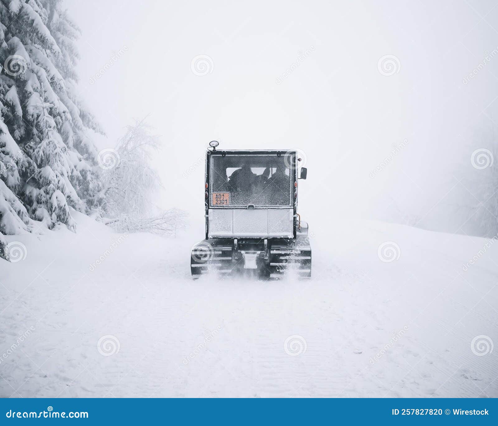 Compact Modern Snowcat Moveing on Snow. Stock Photo - Image of moveing ...