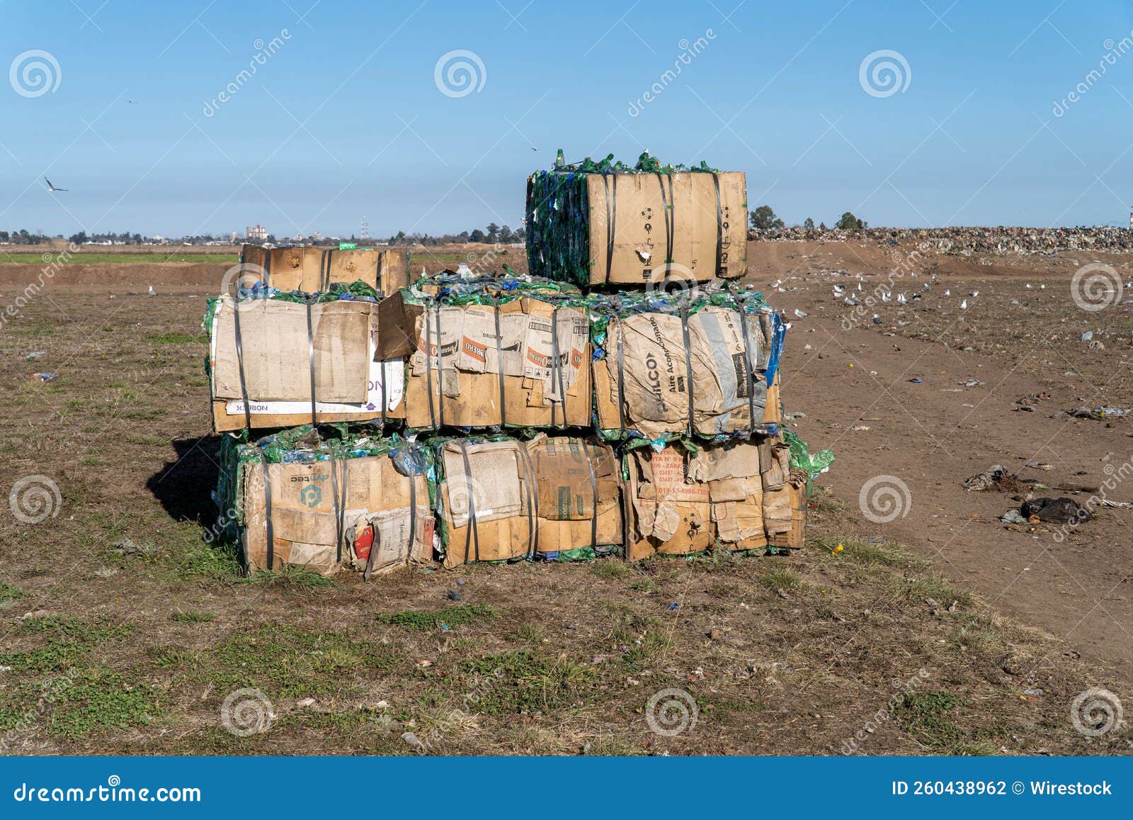 Compacted Garbage for Disposal in a Waste Processing Plant Editorial ...