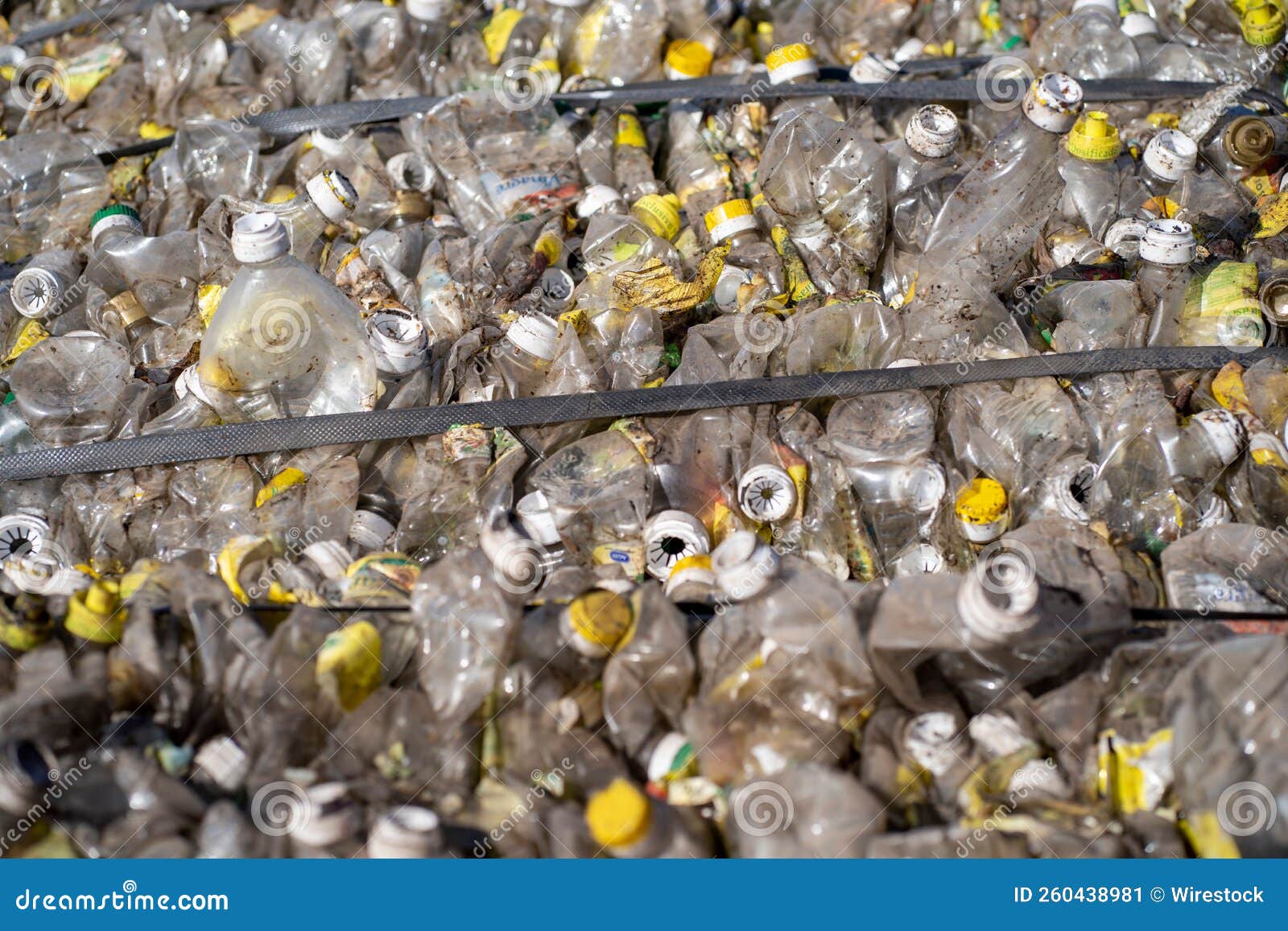 Compacted Garbage for Disposal in a Waste Processing Plant Editorial ...