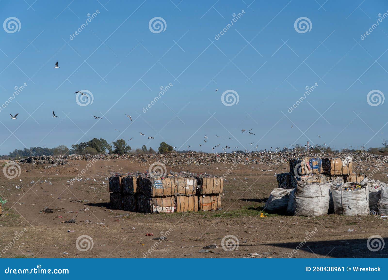 Compacted Garbage for Disposal in a Waste Processing Plant with Flock ...