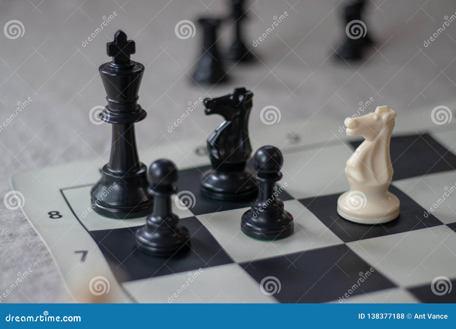 Compagnon D'échecs Avec Le Chevalier, échec Et Mat ! Photo stock ...
