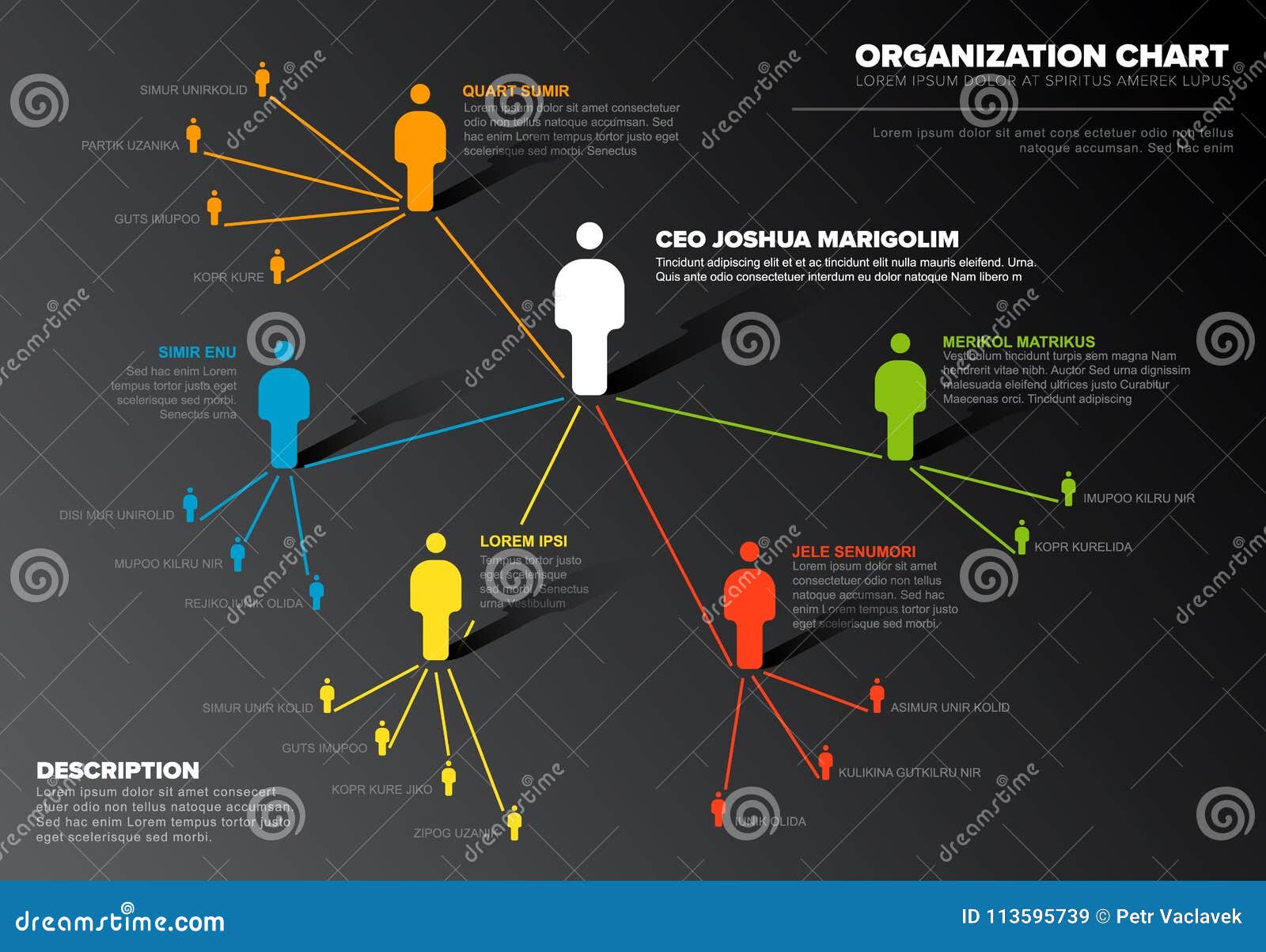 Company Organization Hierarchy Schema Diagram Template Stock Vector ... Company Organization Hierarchy Schema Diagram Template Stock Vector ...