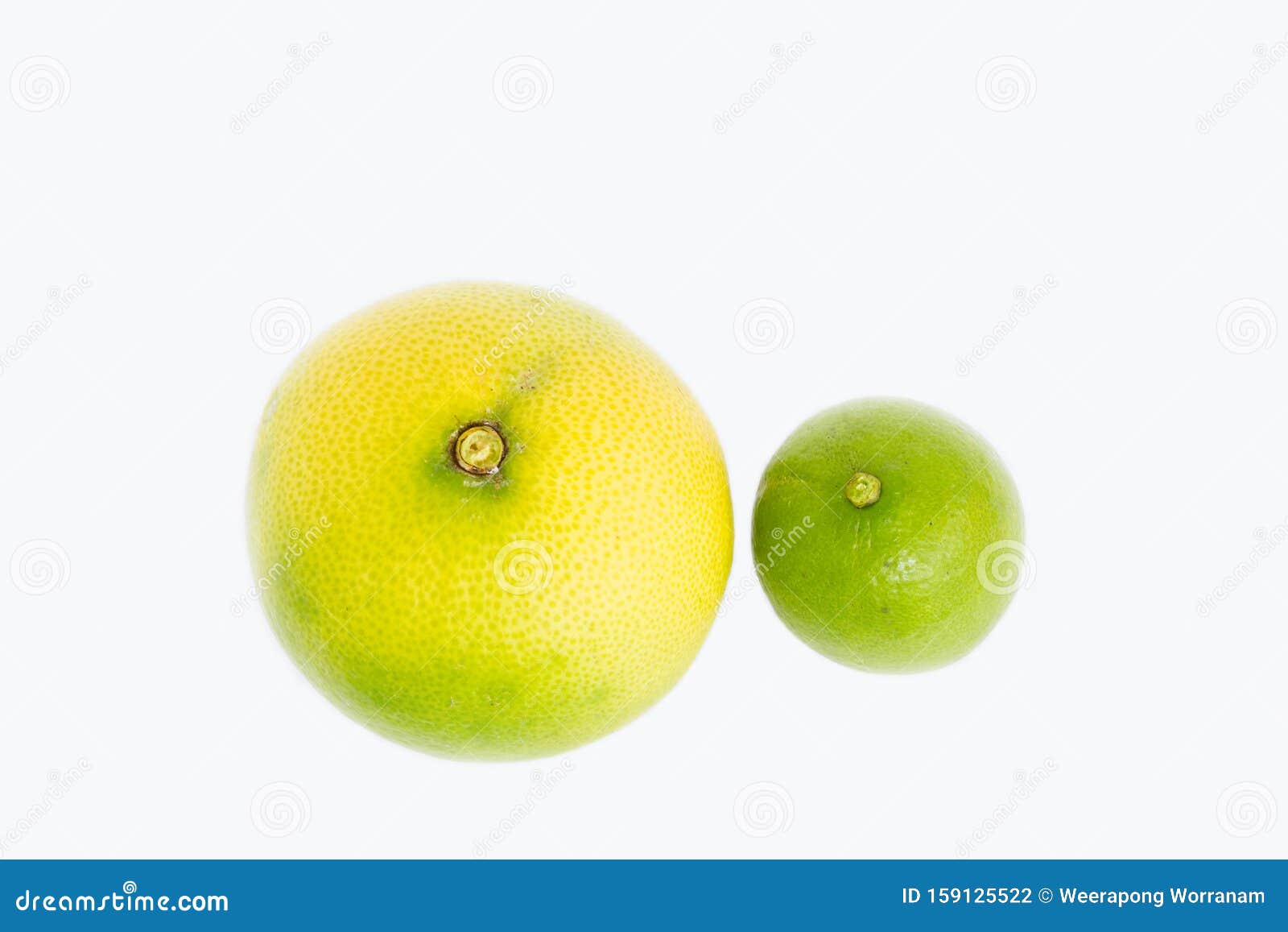 Compare Different Variety and Size of the Lemon, Lime, Local Citrus ...