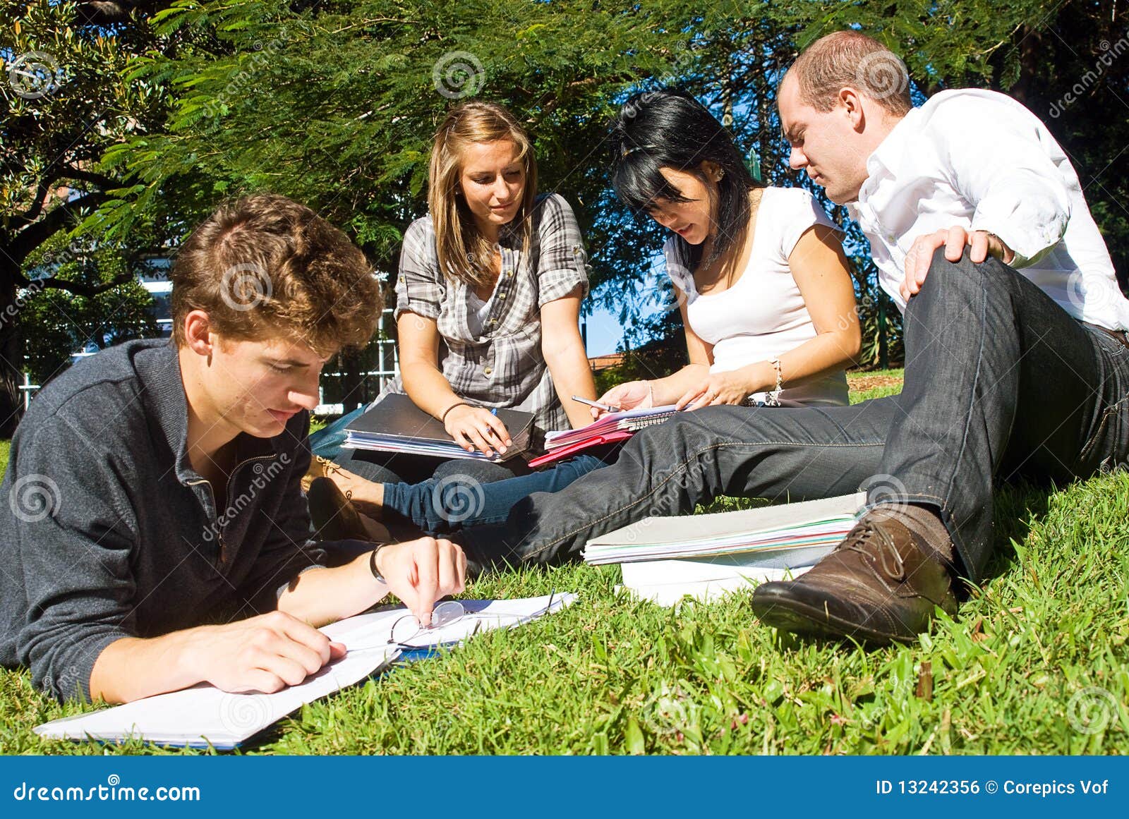 Comparing notes stock photo. Image of ambitious, people - 13242356