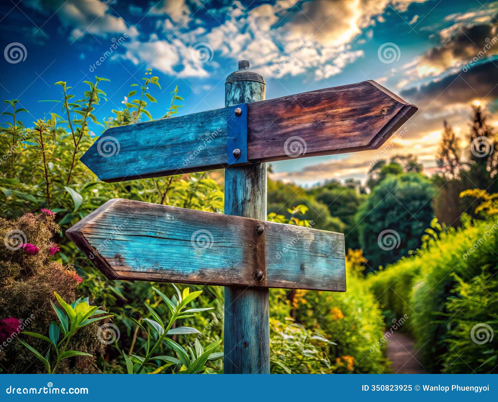 Comparing Vintage and Modern Signposts a Journey through Time in ...