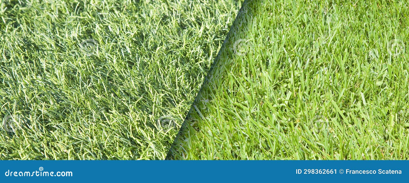 Comparison between an Artificial Synthetic Grass Lawn and a Real ...