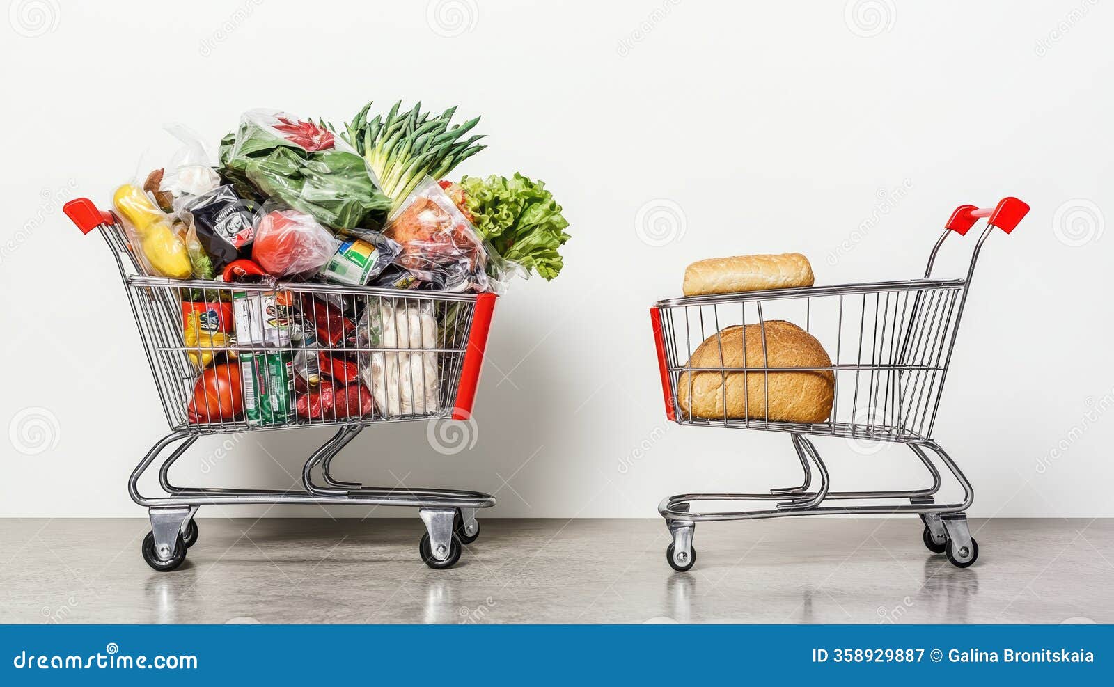 Comparison of Full and Empty Shopping Carts As a Symbol of Economic Inequality Stock Image ...
