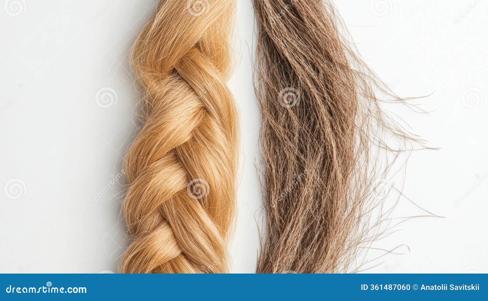 Comparison of Healthy and Damaged Hair Strands Highlighting Differences ...