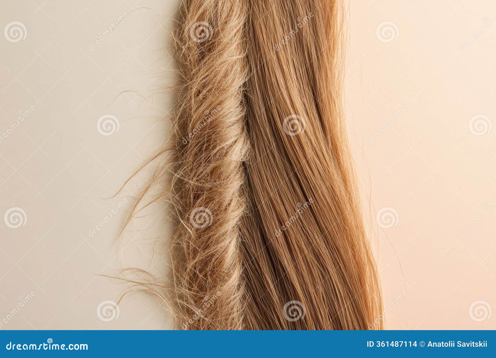 Comparison of Healthy and Damaged Hair Strands Showcasing Differences ...