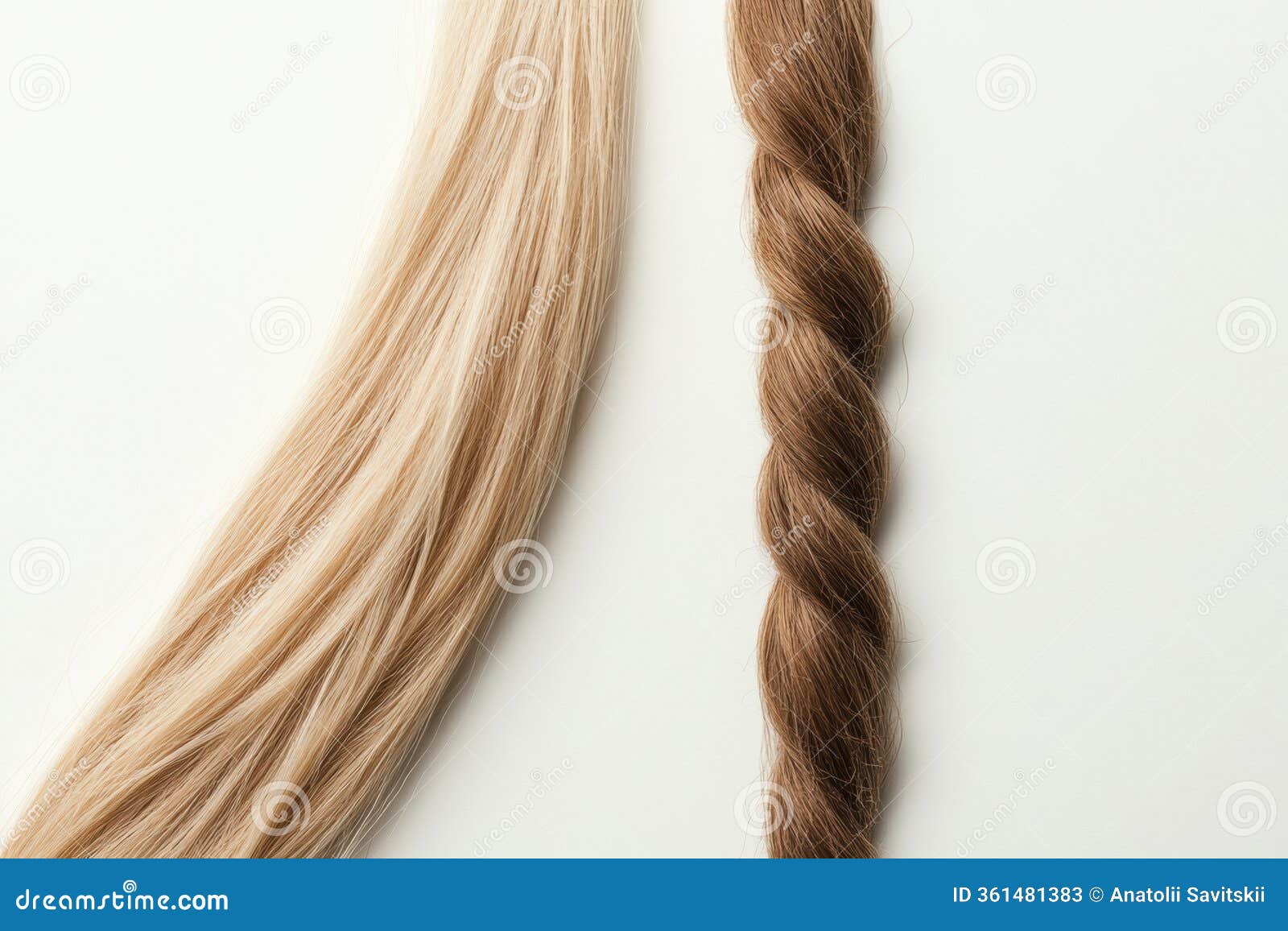 Comparison of Healthy Smooth Hair and Brittle Damaged Hair Showing ...