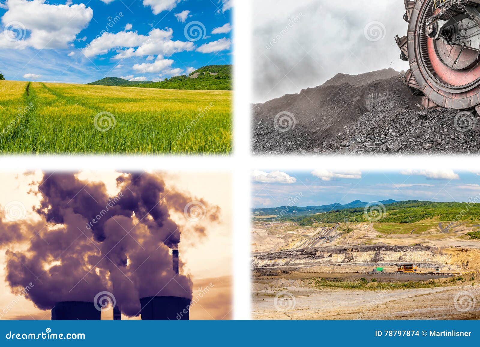 Comparison of a Landscape Clean and Healthy, and Dirty and Polluted ...