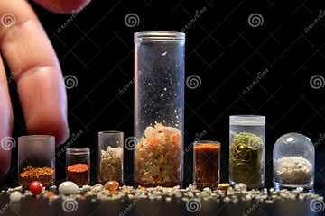 Comparison of Microplastic Sizes Under the Microscope Stock ...