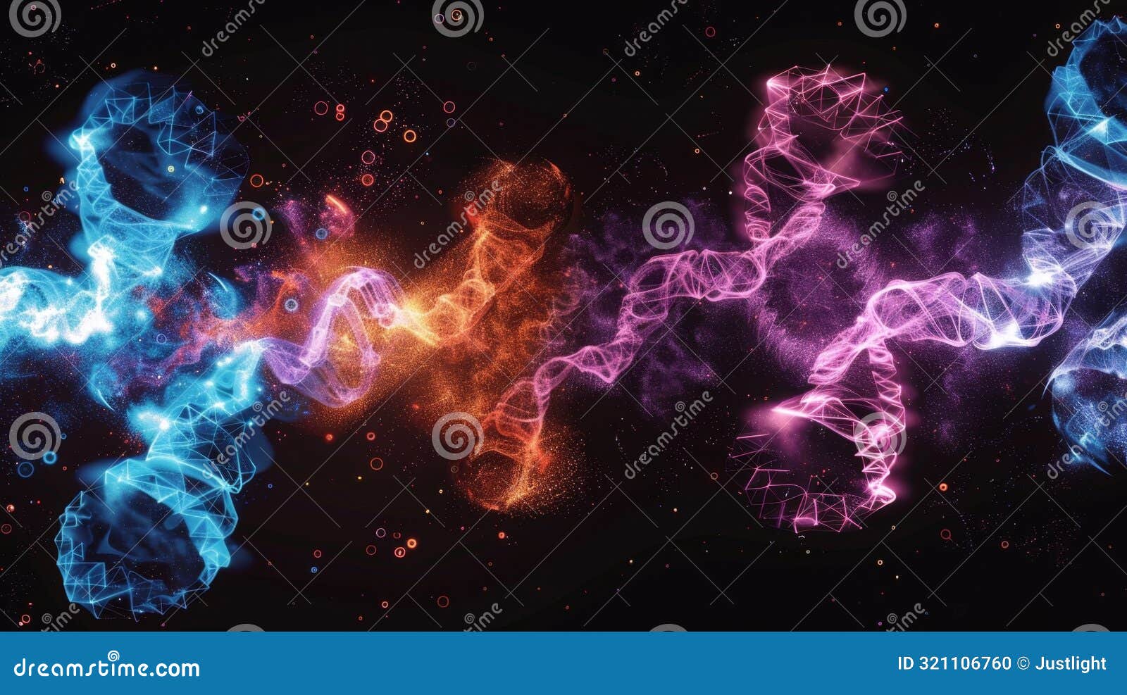 A Comparison between the Nuclear Localization Signal Sequences of ...