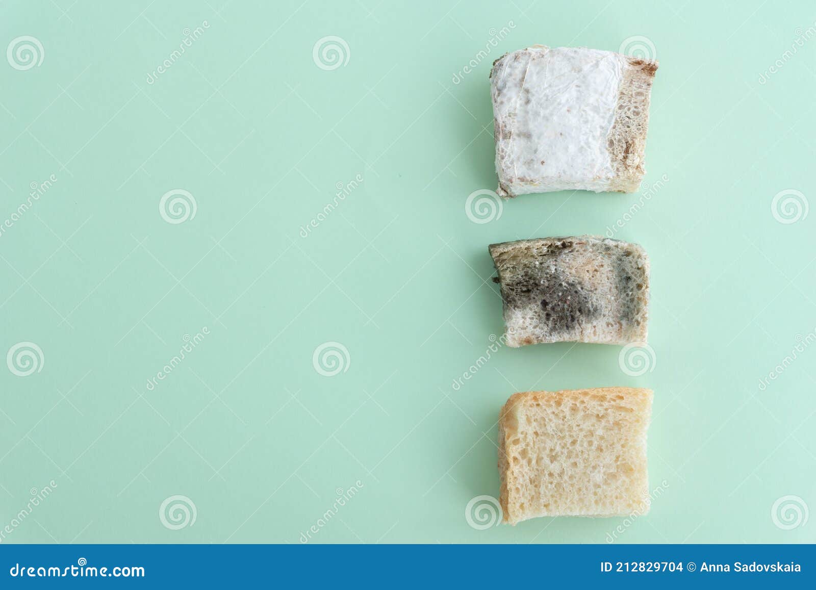 Comparison of Three Peaces of Bread: One with White Mould, Other with ...